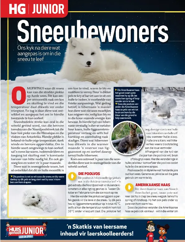 Sneeubewon­ers - PressReader