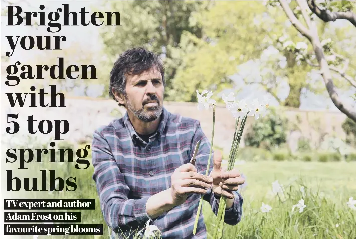 Brighten your garden with 5 top spring bulbs - PressReader