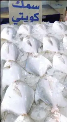 Zubaidi fishing season begins - PressReader