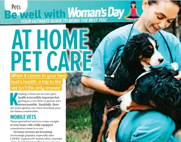 AT HOME PET CARE - PressReader