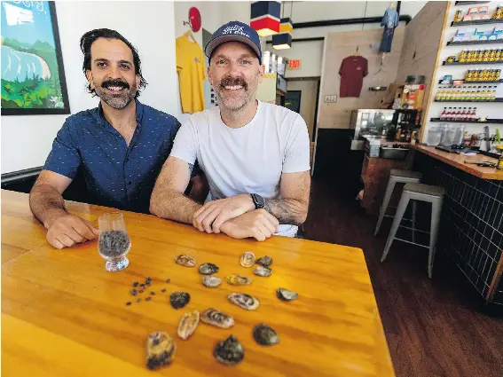 SHELL COMPANY - PressReader