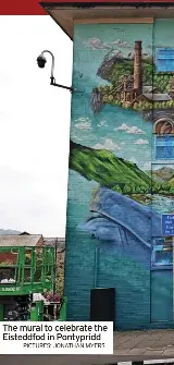 Eisteddfod mural artist reveals sweet story behind artwork - PressReader