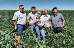 Sojabone presteer op droëland in Noordwes - PressReader