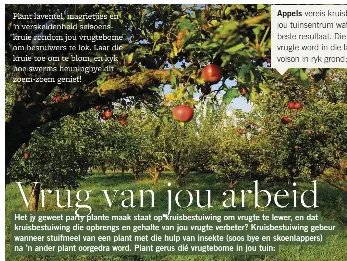 Vrug van jou arbeid - PressReader