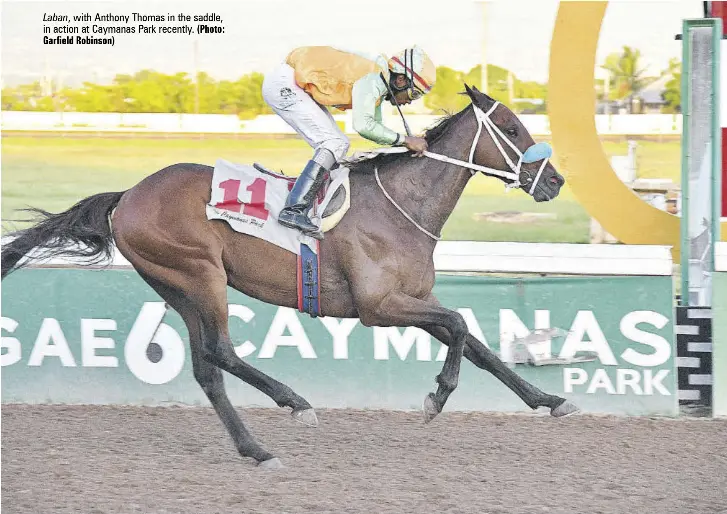 Laban favoured for Gerry Skelton Memorial Trophy sprint - PressReader