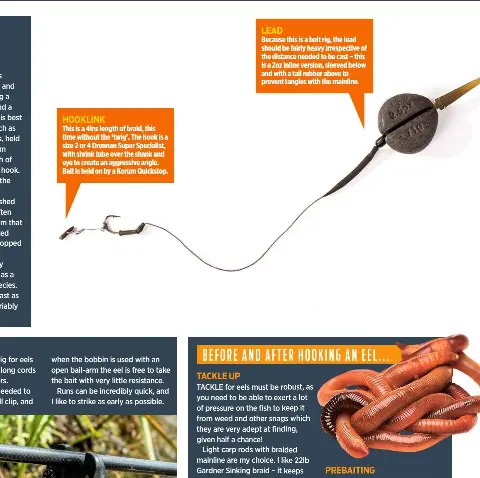BOLT RIGS FOR EELS? - PressReader