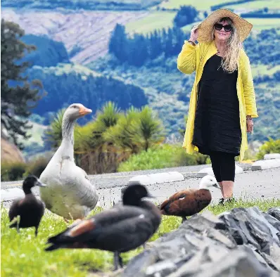 Goose causing trouble in paradise - PressReader