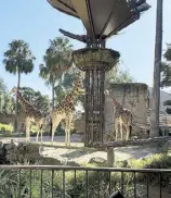 MARVELOUS MELBOURNE - PressReader