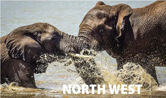 NORTH WEST - PressReader