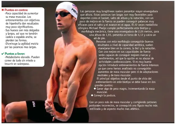 LONGILÍNEO, ECTOMORFO - PressReader