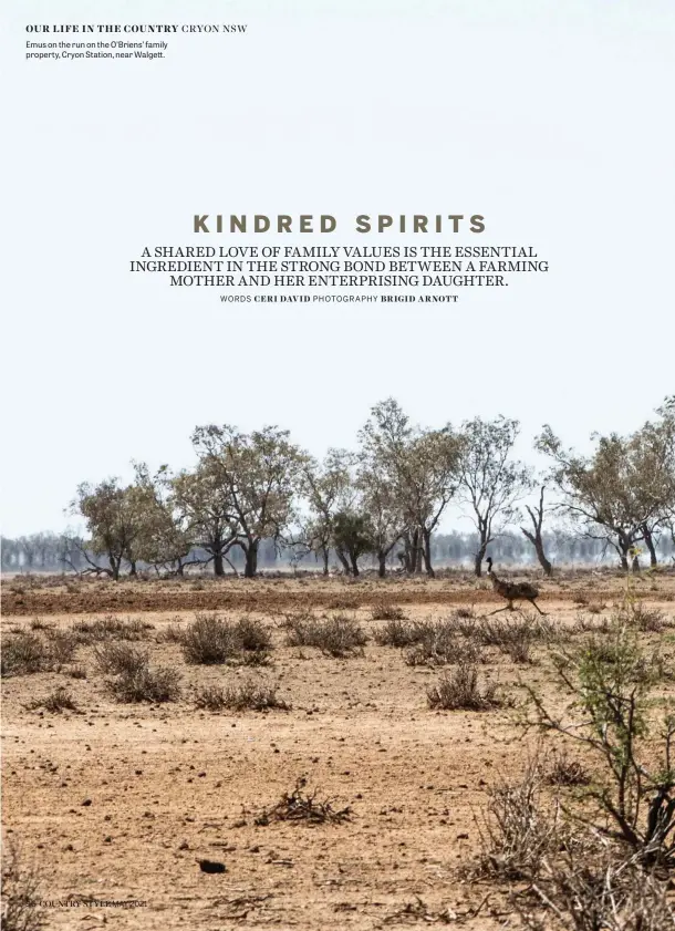 KINDRED SPIRITS - PressReader