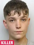 Locked away, the teen who murdered boy, 16, with a zombie knife ...