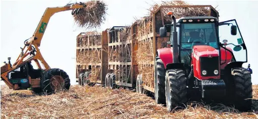 Call from growers to diversify sugar industry - PressReader