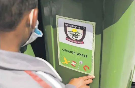 Zero-waste schools’recycling benefits - PressReader