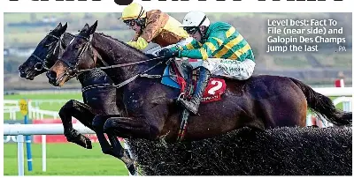 Fascinatin­g Fact can strike gold for Willie - PressReader