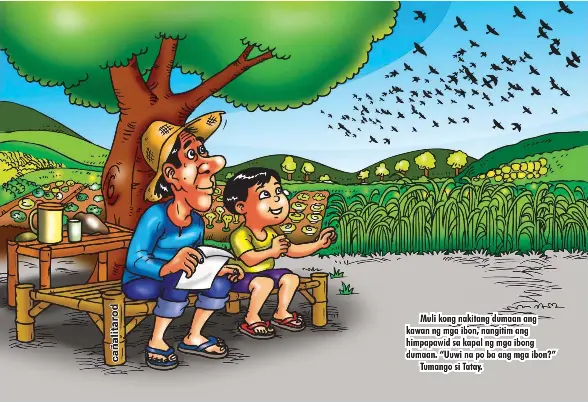 Hiwaga Ng Kalikasan - PressReader