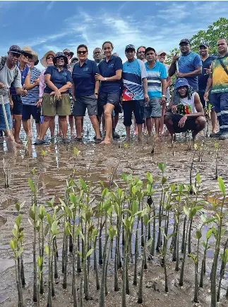 Resort Helps in Mangrove Conservati­on - PressReader