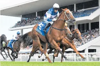 Velocious set to extend season - PressReader