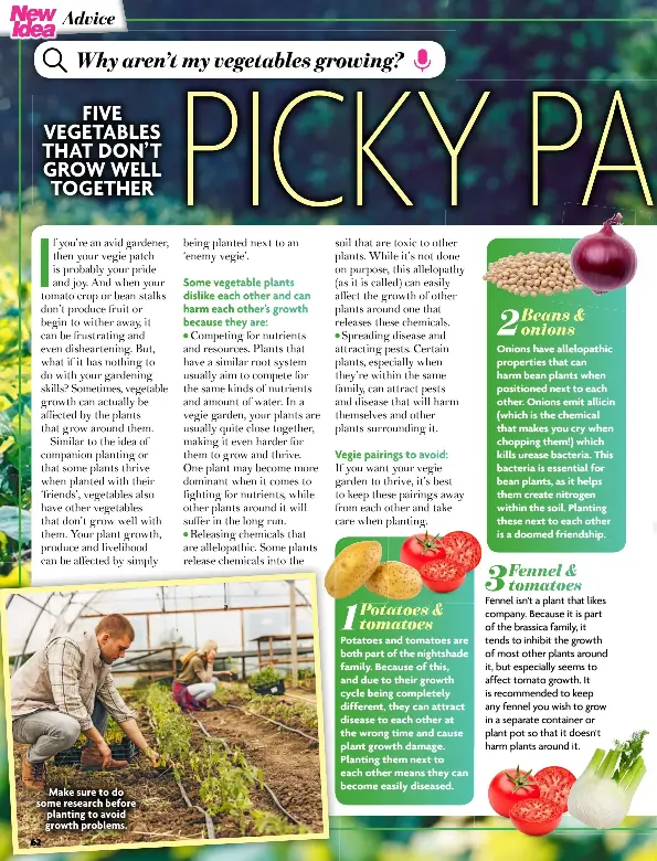 PICKY PAIRS - PressReader