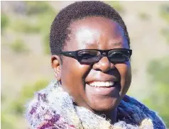 Zim visual artists promote cultural diplomacy - PressReader