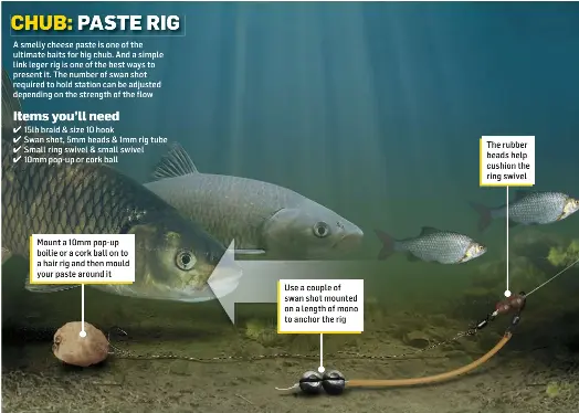 CHUB: PASTE RIG - PressReader