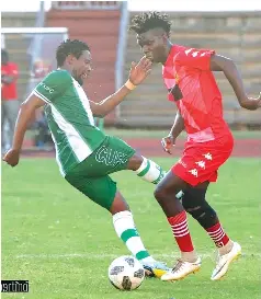 Gahadzikwa’s two decades of joy and pain at the top - PressReader