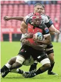 Sharks devour toothless Lions - PressReader