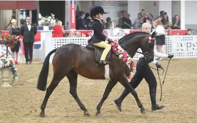 A supreme dream – Fancy That! - PressReader