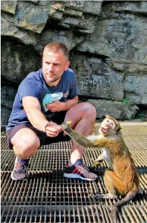 MP wants monkeys brought to Colombo and released - PressReader