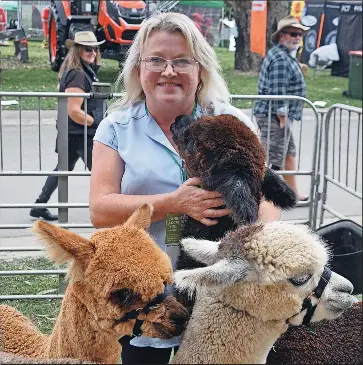 Seymour expo has something for everyone - PressReader