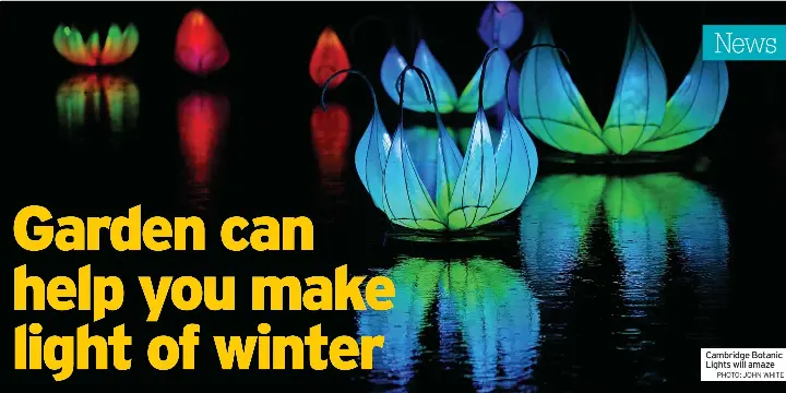 Garden can help you make light of winter - PressReader