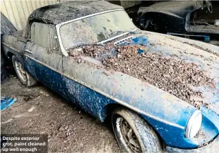 Rat trap: MGB’S nasty secret - PressReader