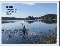 Lake drowning death was ‘ tragic accident’ - PressReader