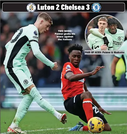 Goal king Cole’s got Poch purring again - PressReader