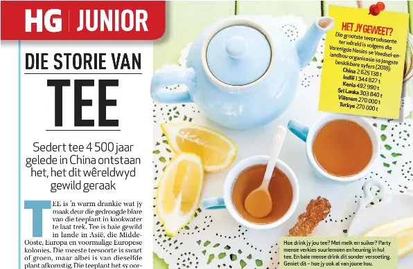 DIE STORIE VAN TEE - PressReader