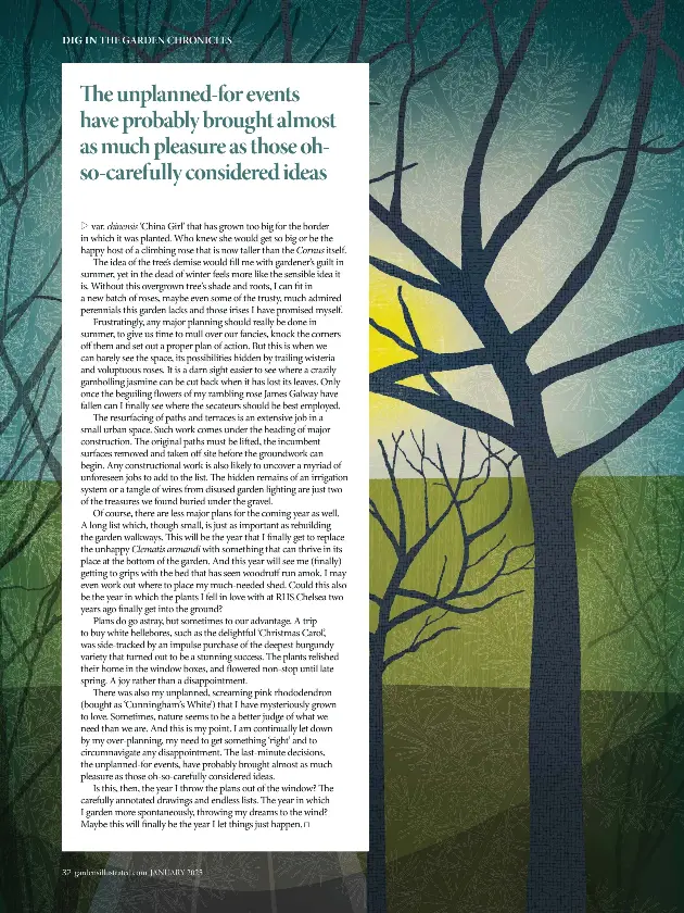 The unplanned-for events have probably brought almost as much pleasure as those ohso-carefully ...