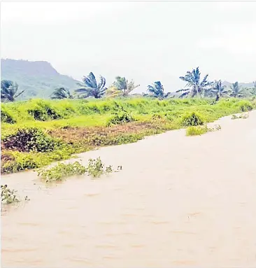 2 dead from alleged drowning - PressReader