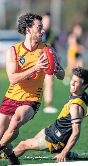 SHEPPARTON BEARS - PressReader