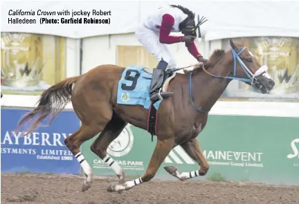 Run Julie Run and California Crown toast of Caymanas with victories in ...