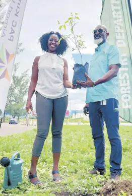 Restoring roots - PressReader