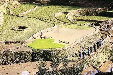 Open Air Museum in Ifugao presents culture, sustains native rice ...