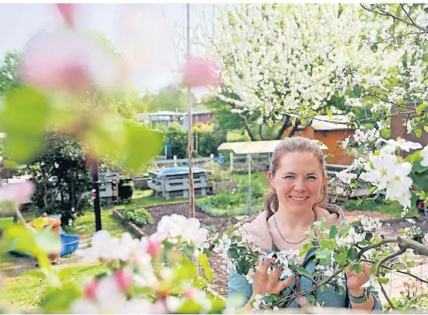 Grünes Paradies vor der Haustür - PressReader