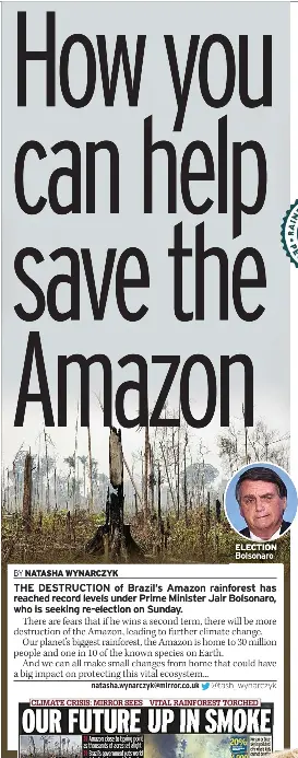 How you can help save the Amazon - PressReader