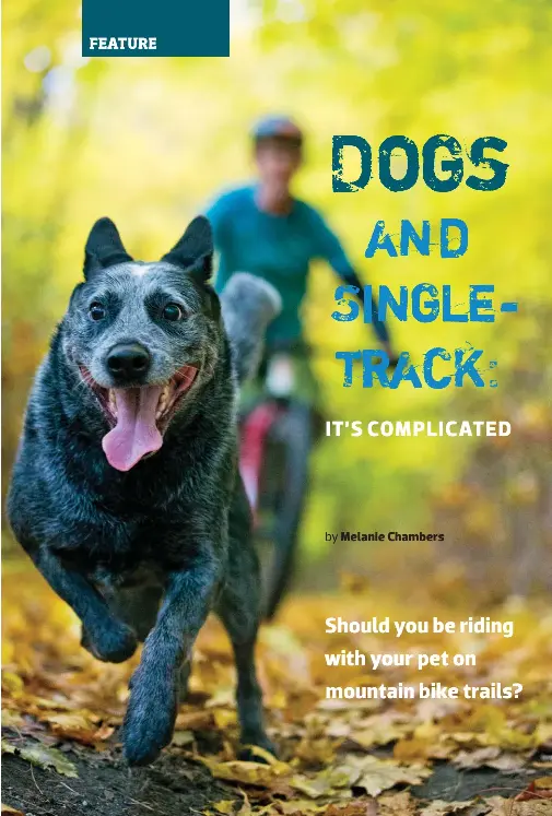 Dogs and Singletrac­k: It’s Complicate­d - PressReader
