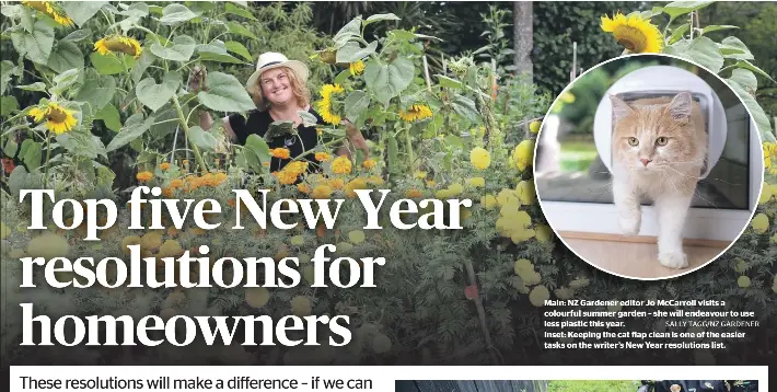 Top five New Year resolution­s for homeowners - PressReader