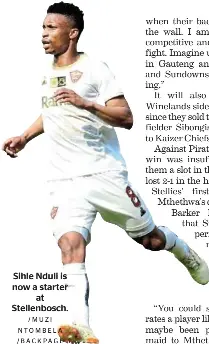 Depleted Stellies seek another Gauteng scalp - PressReader