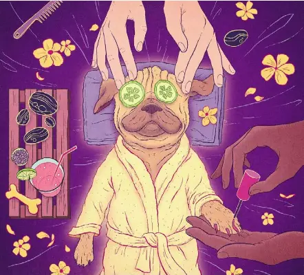 At your service - PressReader