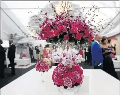 GIGABA TAKES HIS MAKOTI - PressReader