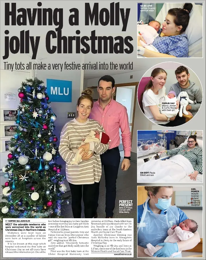 Having a Molly jolly Christmas - PressReader