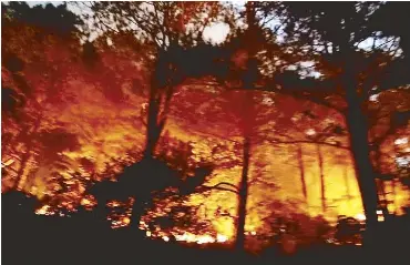 Another forest fire rages in Benguet - PressReader